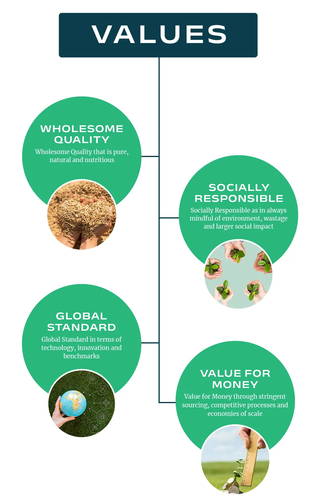 Halder Venture Limited | Edible Oil and Rice Exporter In India